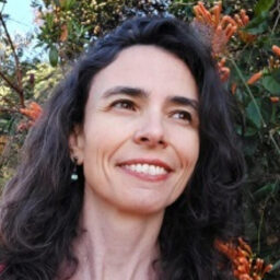 Home - WFOT Congress 2026